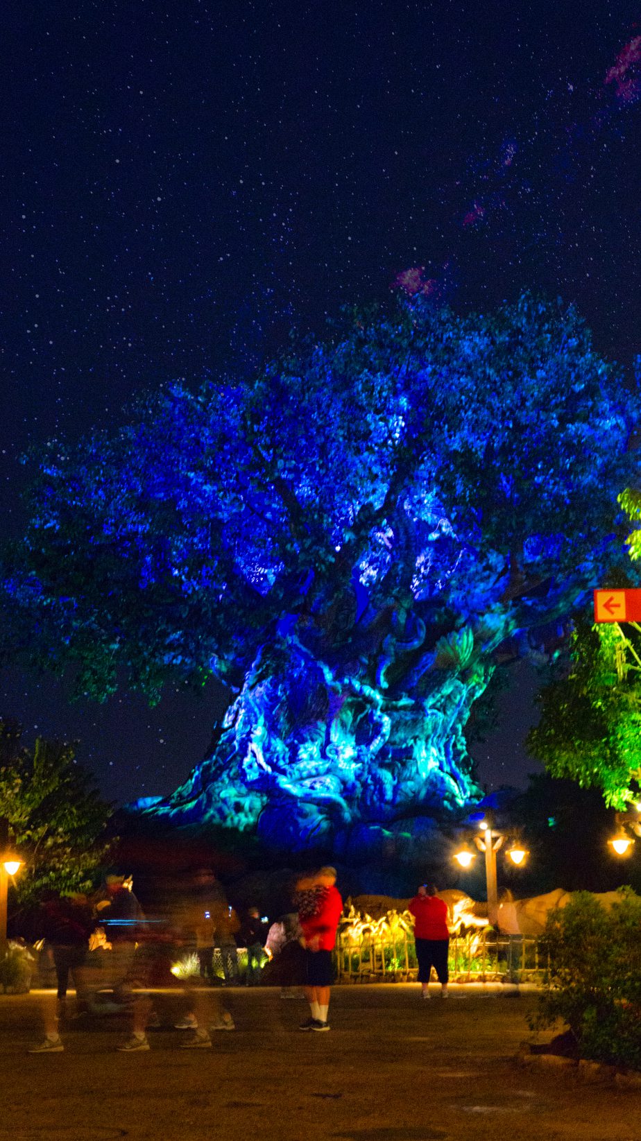 Tree Of Life @ Night – CyberBrats